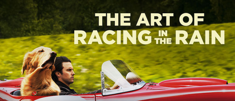 The Art of Racing in The Rain, Yağmurda Yarış Sanatı - Kadın Sanat